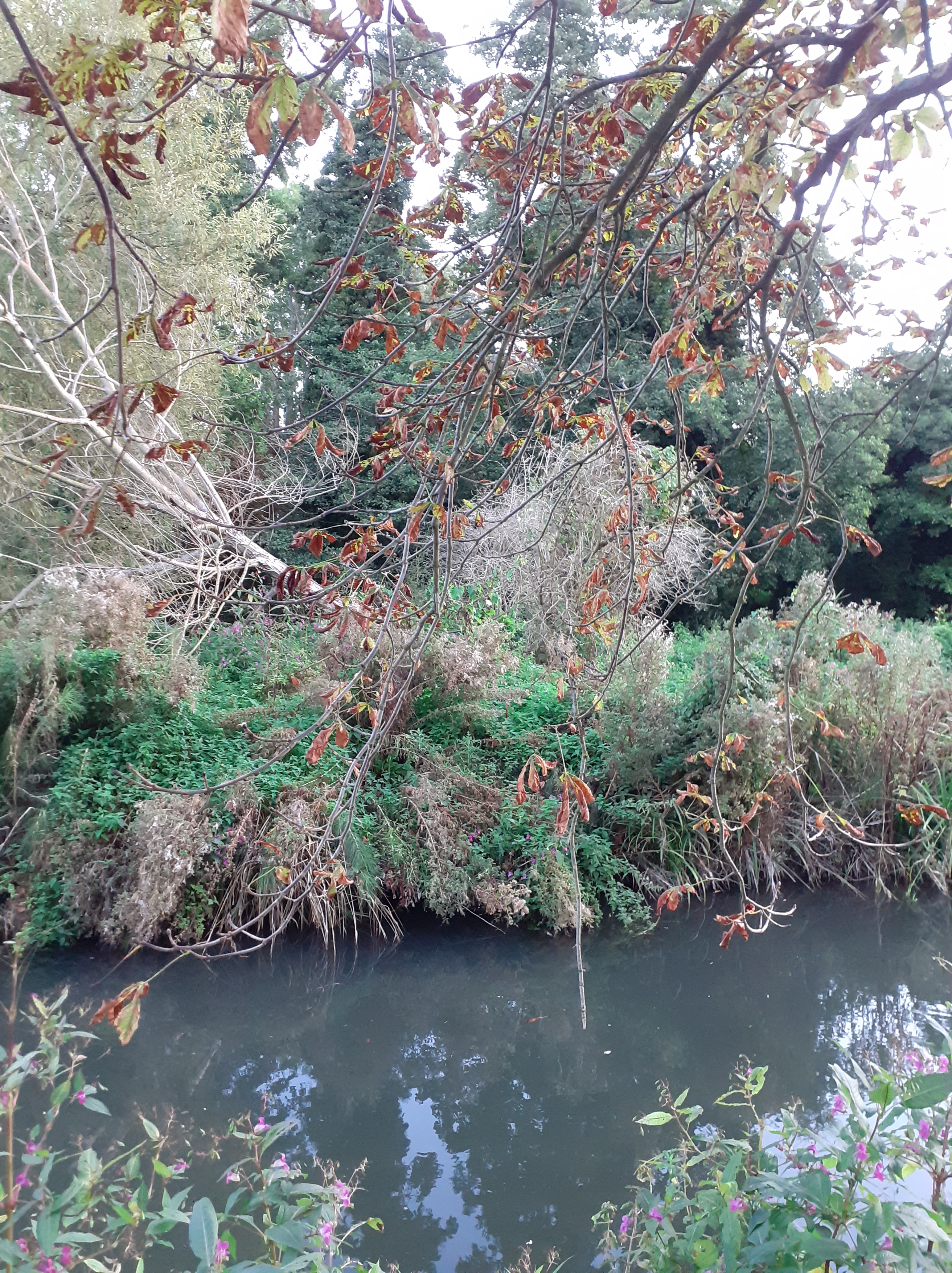 EXPERIENCING LATE SEPTEMBER | Contemplative Inquiry